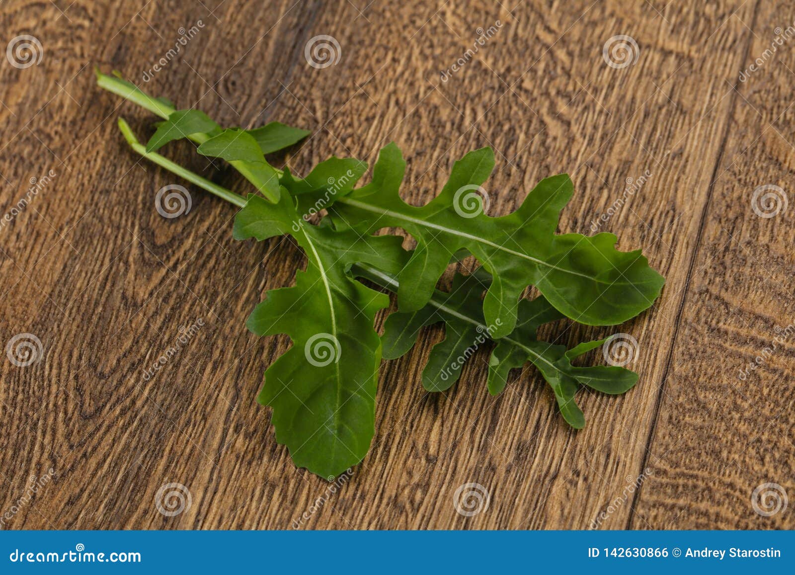 Green fresh Rocket leaves stock photo. Image of ruccola - 142630866