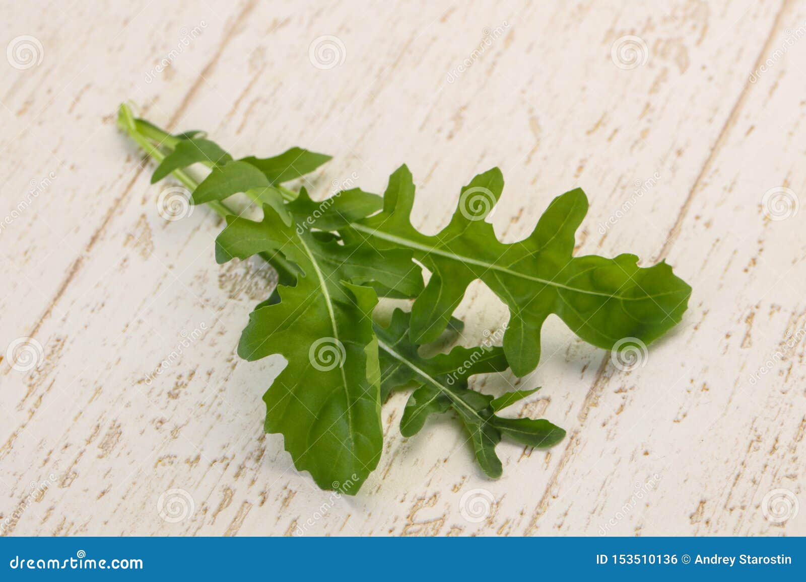 Green fresh Rocket leaves stock photo. Image of eating - 153510136
