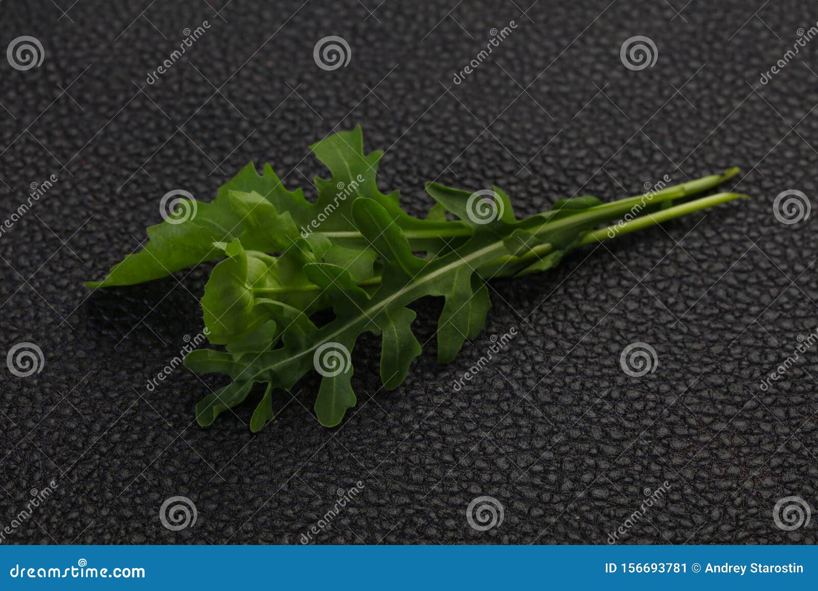 Green fresh Rocket leaves stock image. Image of edible - 156693781