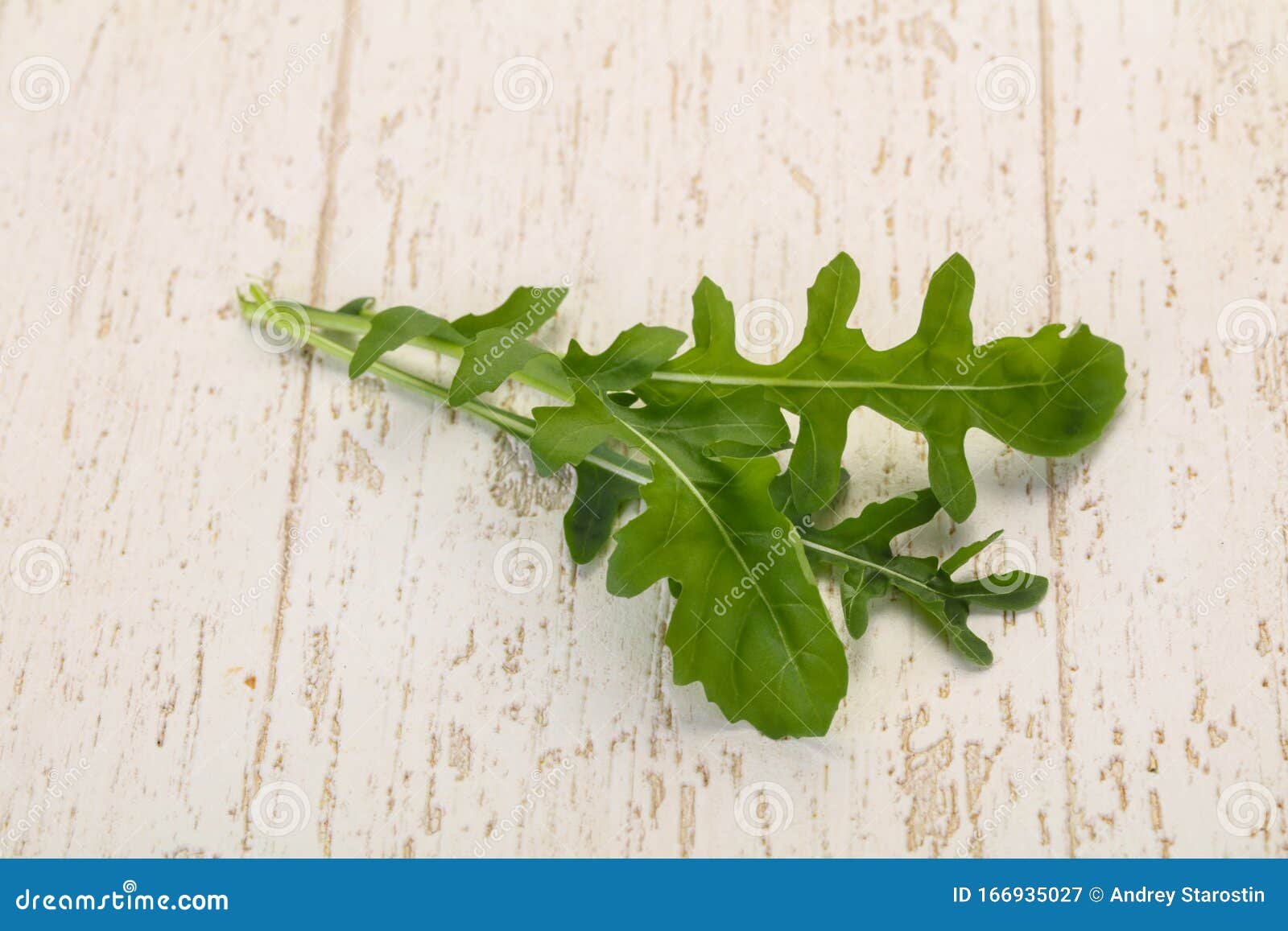 Green fresh Rocket leaves stock image. Image of background - 166935027