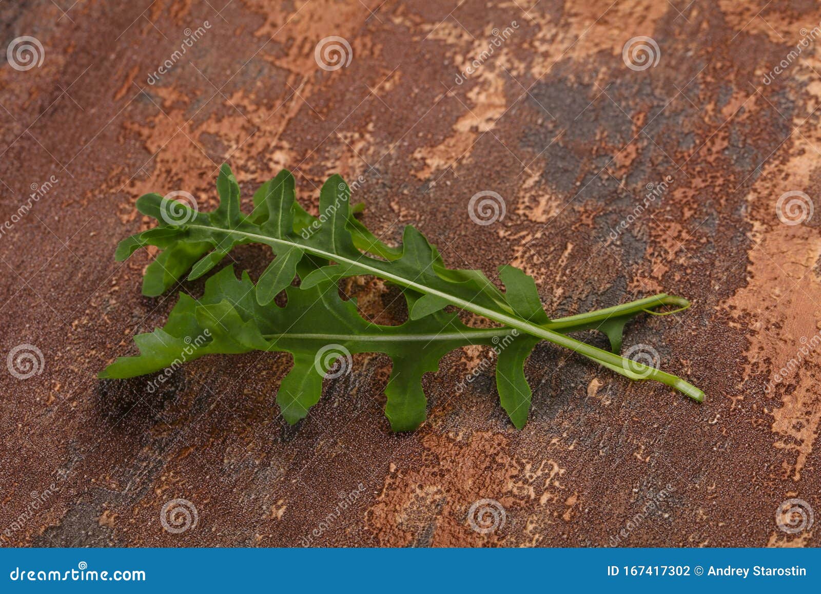 Green fresh Rocket leaves stock photo. Image of spring - 167417302