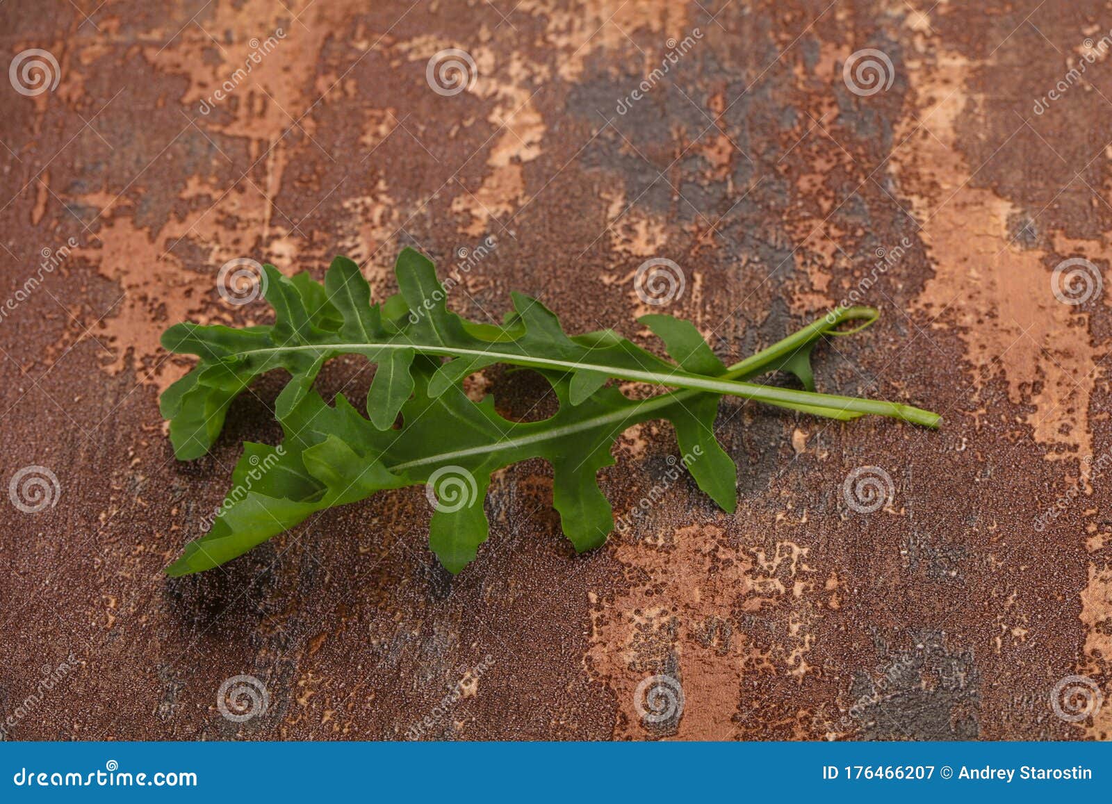 Green fresh Rocket leaves stock image. Image of lettuce - 176466207