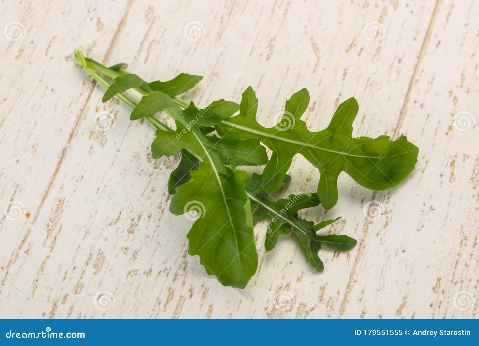 Green fresh Rocket leaves stock image. Image of ruccola - 179551555