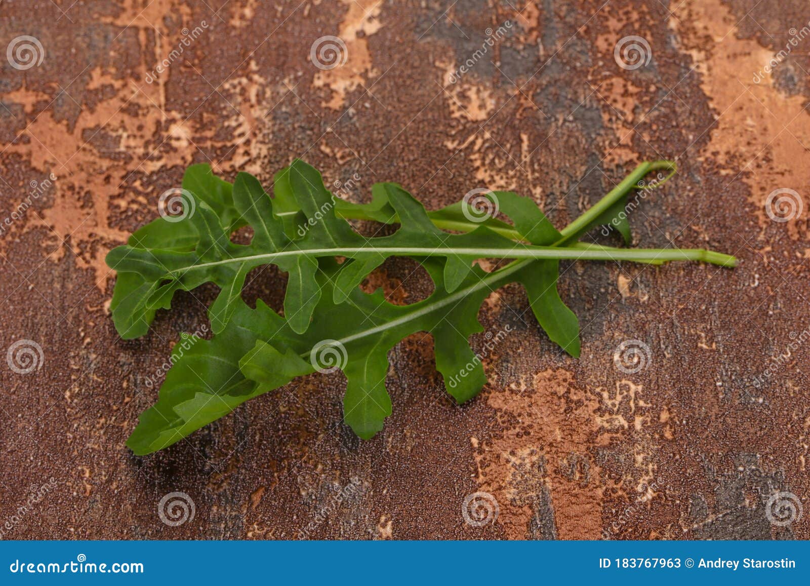Green fresh Rocket leaves stock image. Image of rocket - 183767963