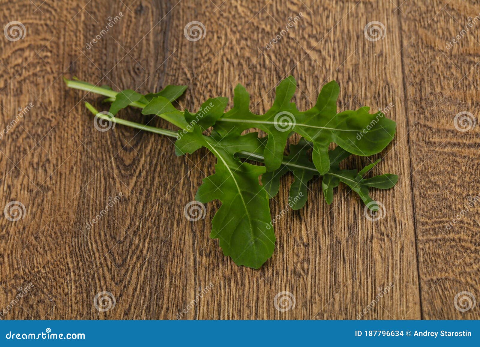 Green fresh Rocket leaves stock photo. Image of ingredient - 187796634