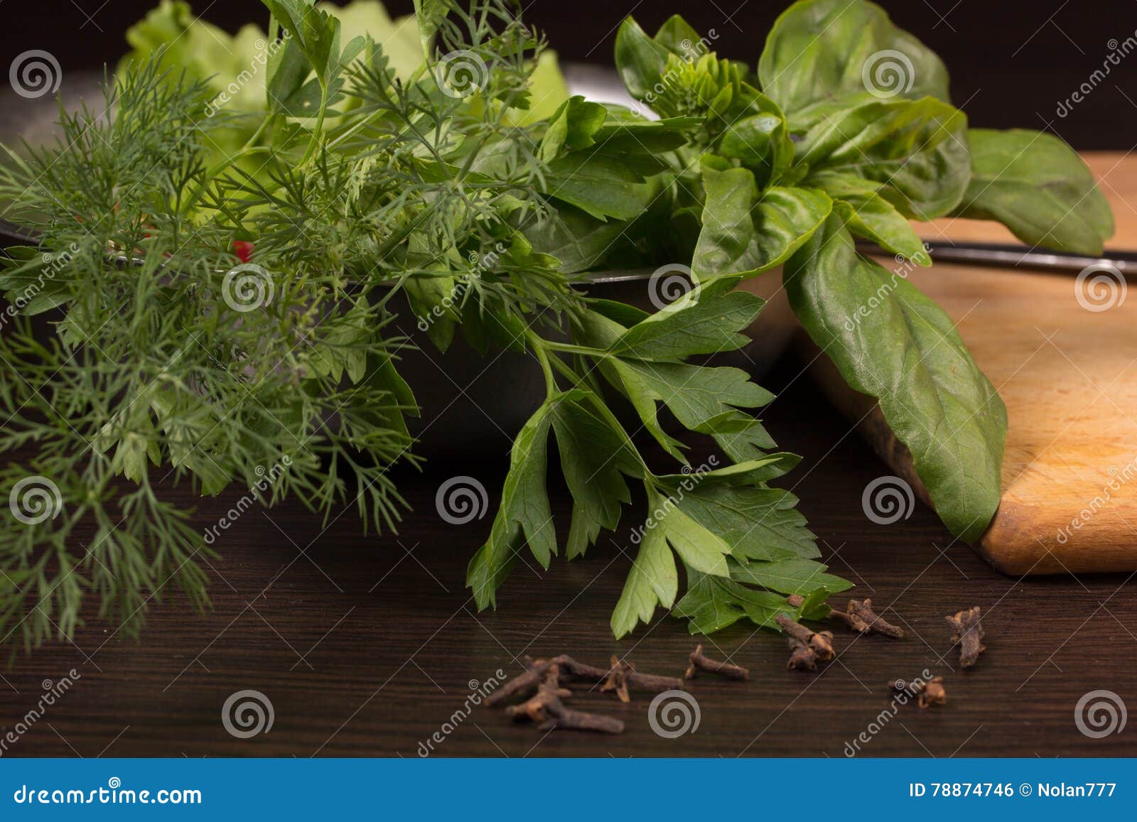 Green fresh spices stock photo. Image of dill, coriander - 78874746