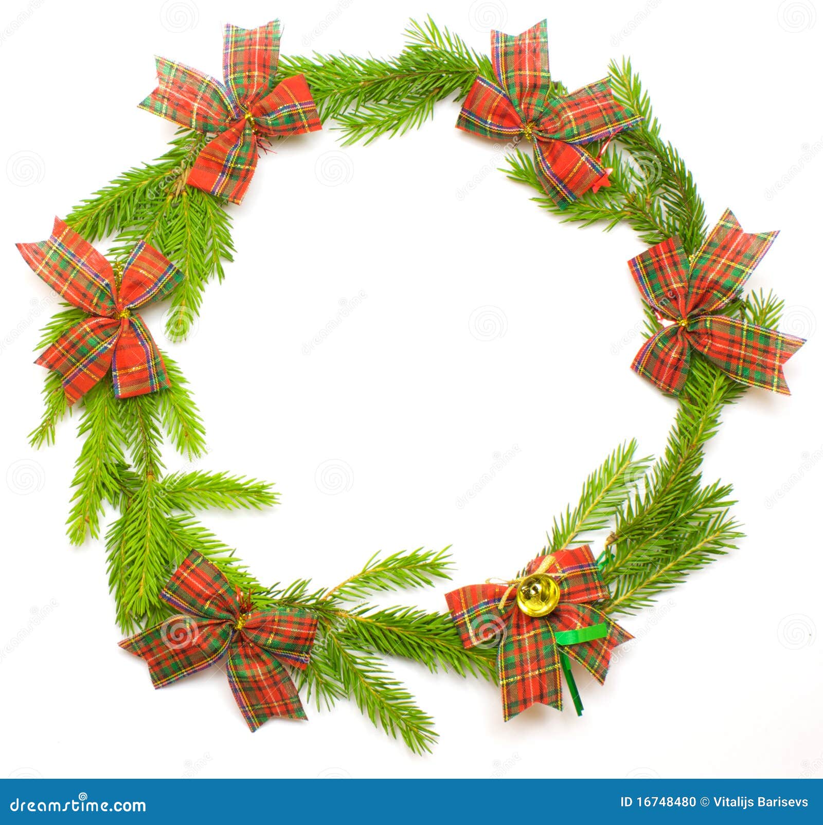 Green fresh spruce frame stock photo. Image of beautiful - 16748480