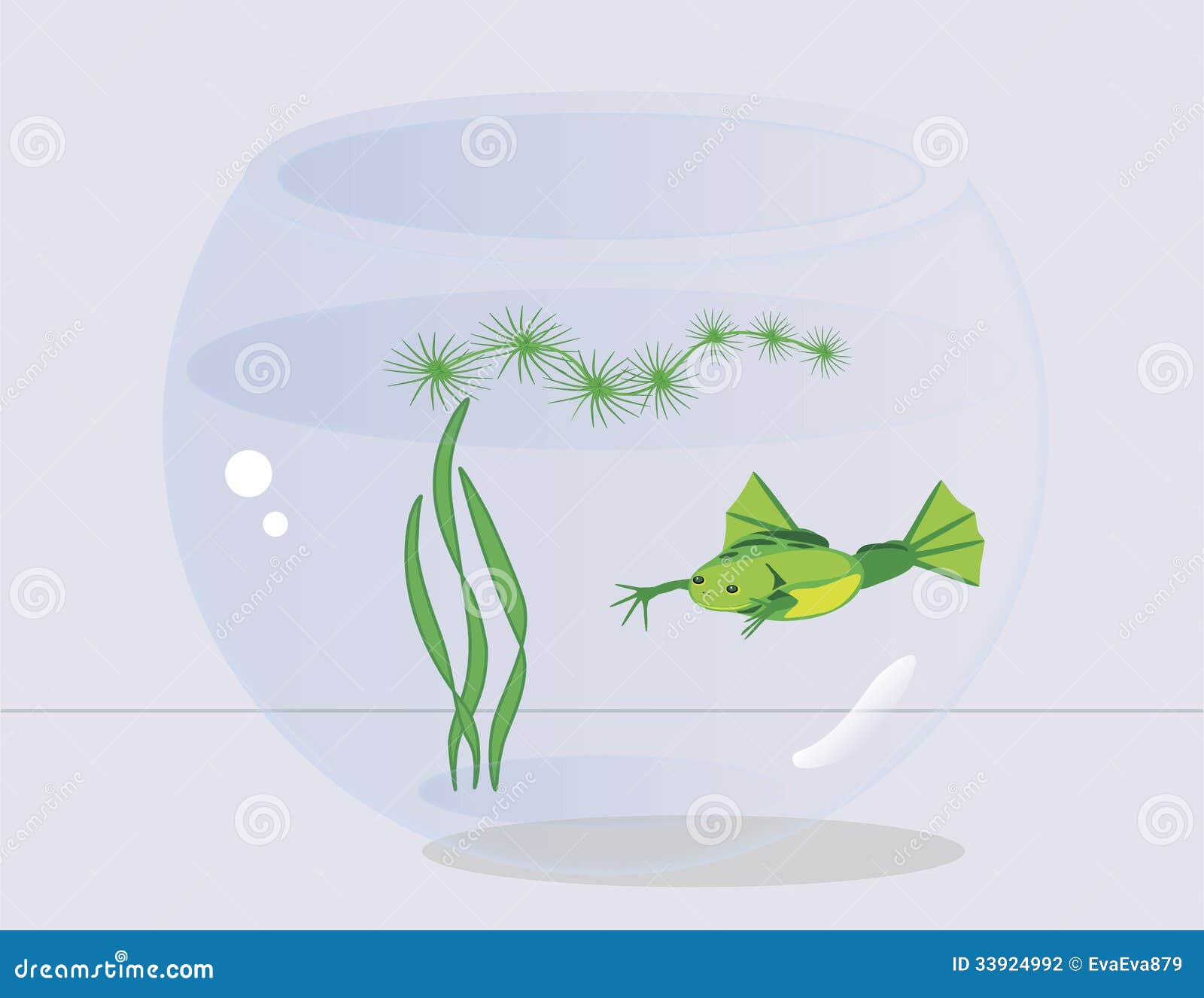 Green frog alone stock photo. Image of toad, amphibian - 33924992