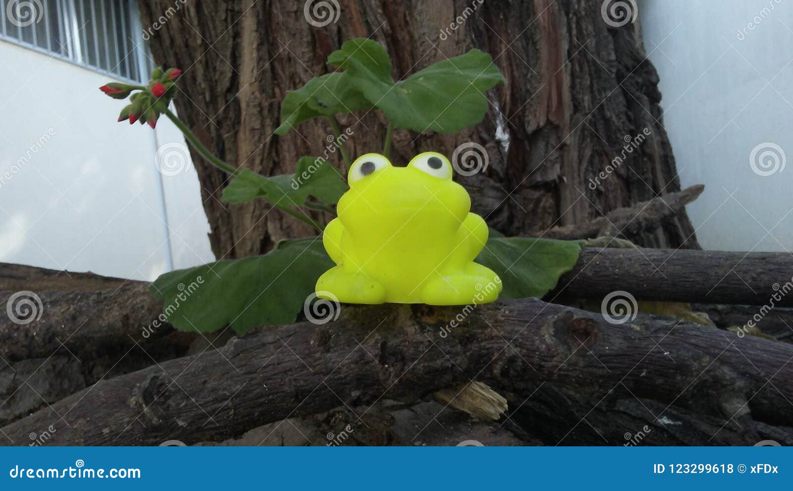 Froggy stock photo. Image of froggy, green, model, rest - 123299618