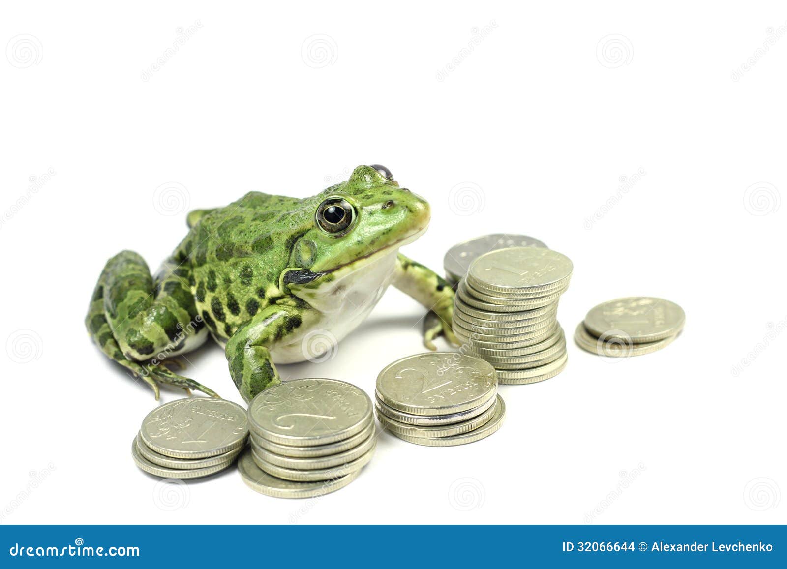 Green frog with money stock photo. Image of feng, bodies - 32066644