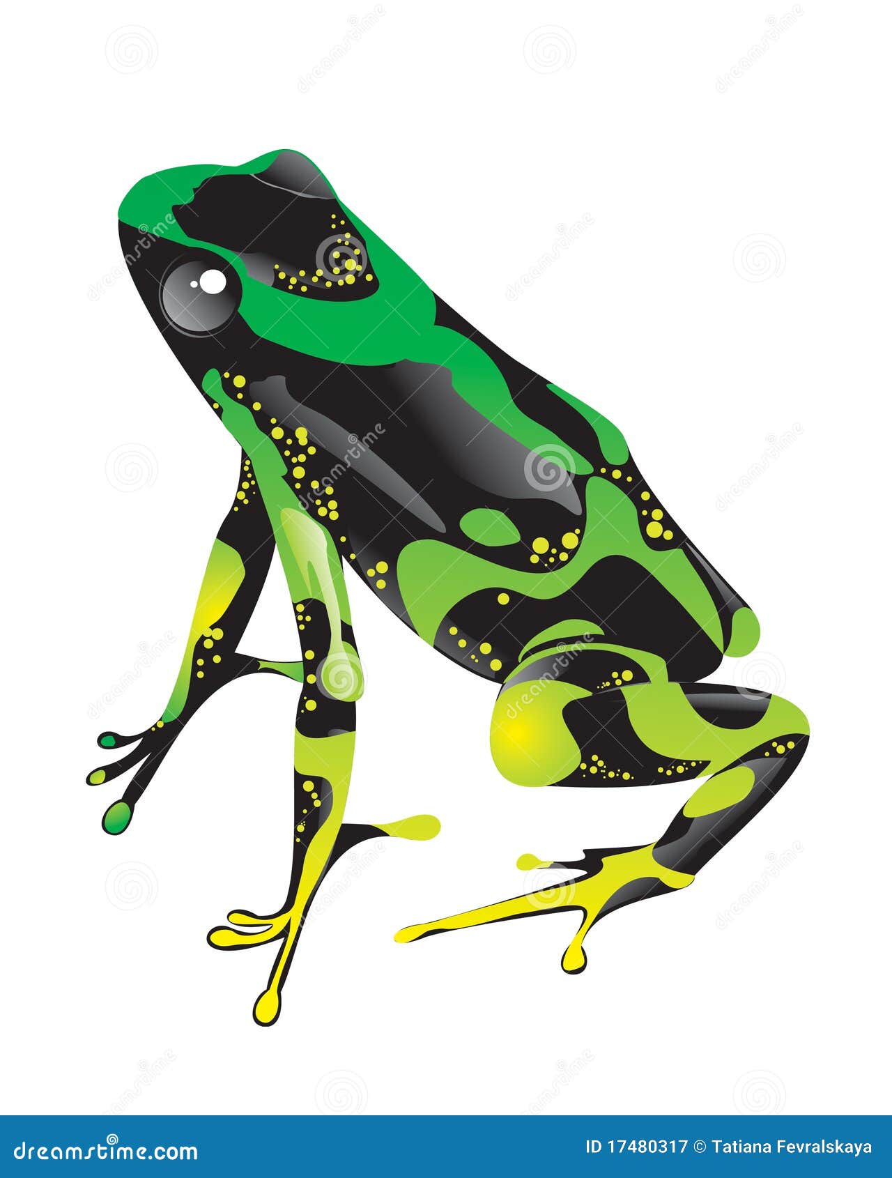 Green frog with pimples stock vector. Illustration of animal - 17480317