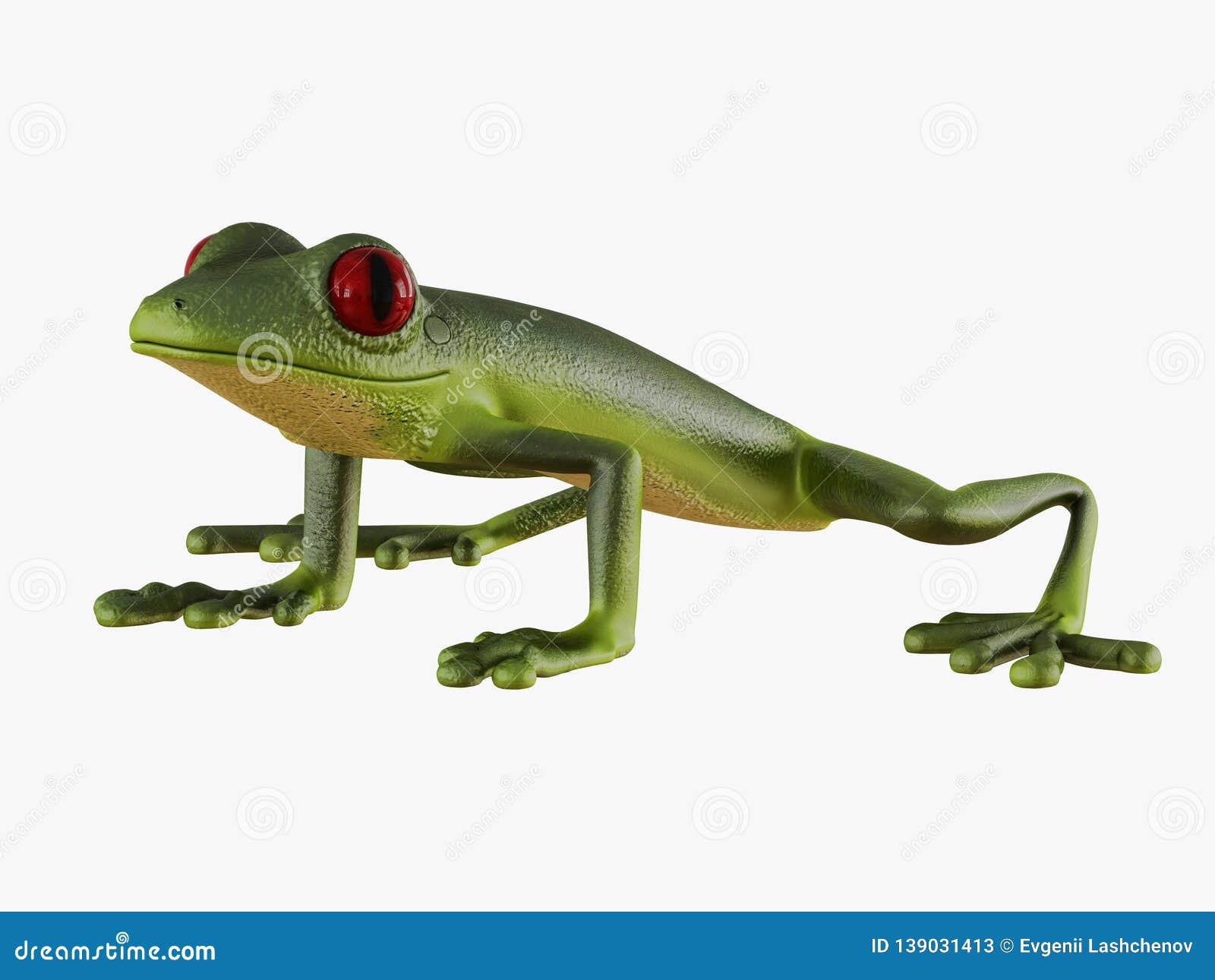 Green Frog Side View on White Background 3d Rendering Stock ...