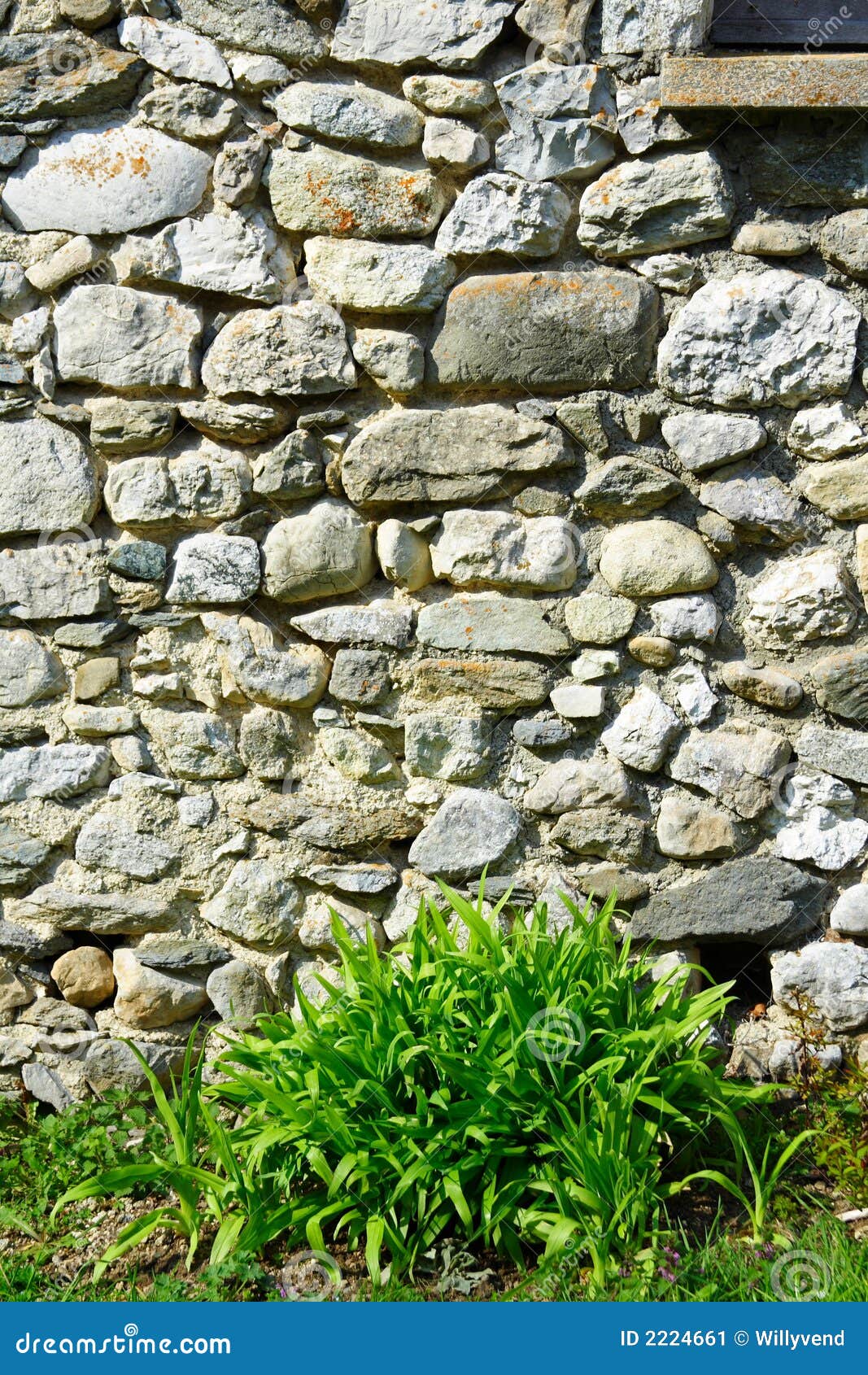 Green In Front A Stoned Wall Picture. Image: 2224661