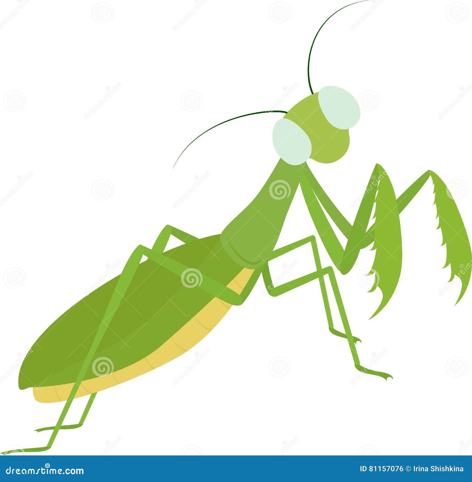 Green funny cartoon Mantis stock vector. Illustration of creature ...