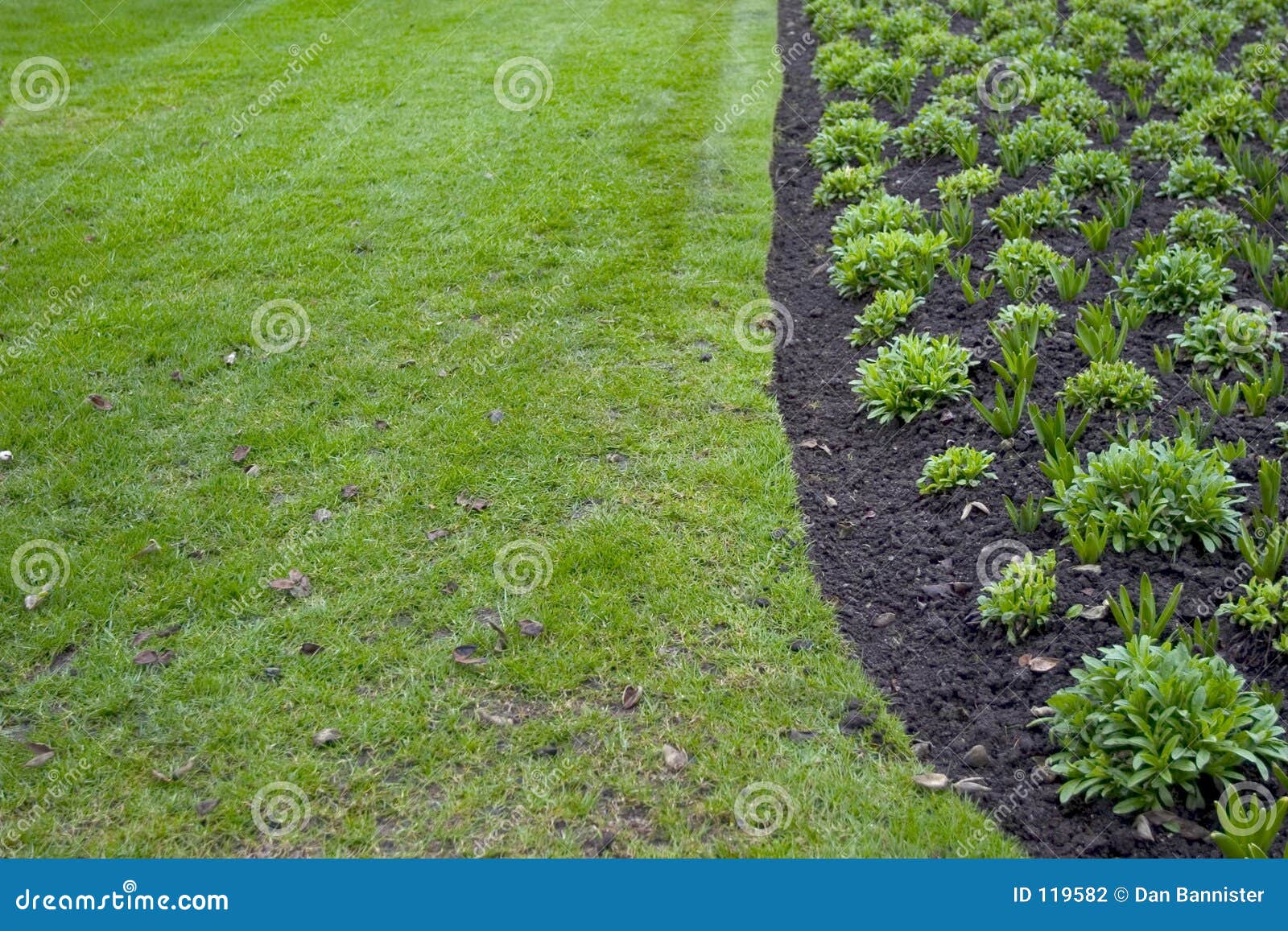 Green Garden stock photo. Image of cultivate, horticulture - 119582