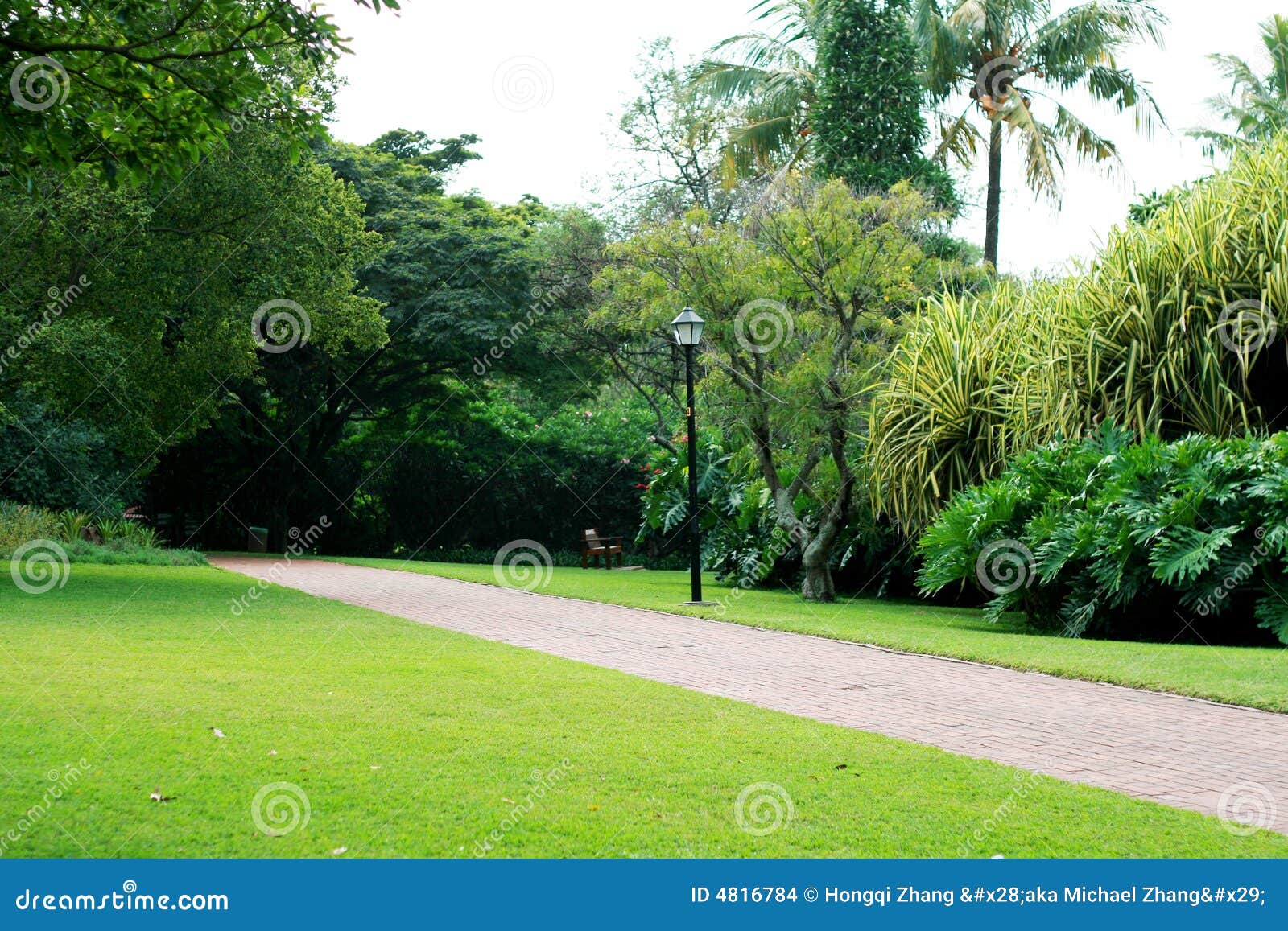 Green garden stock photo. Image of nature, design, background - 4816784