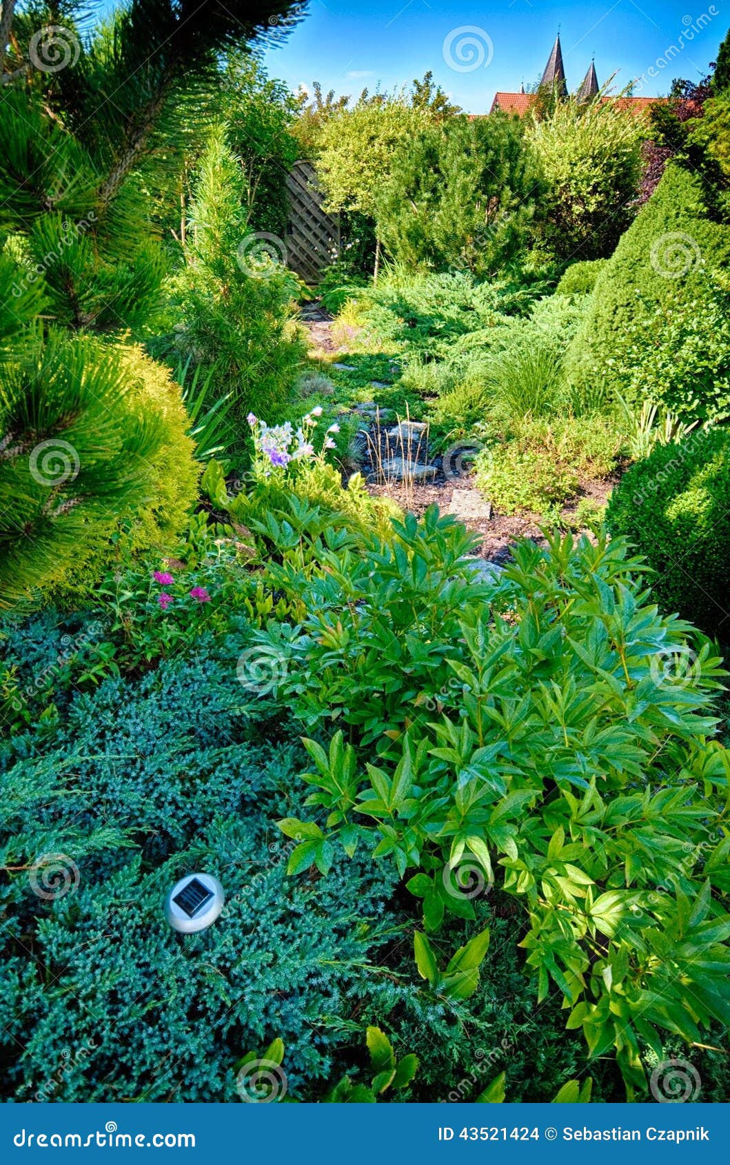 Green Garden stock photo. Image of garden, leafy, nature - 43521424