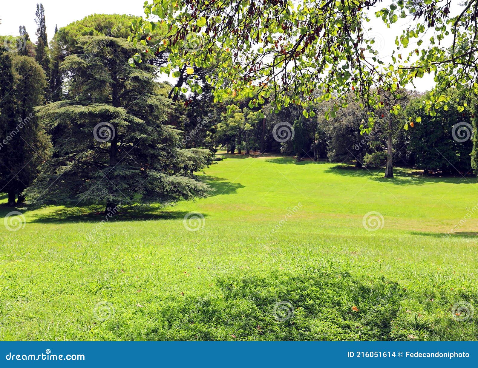 Garden in Europe with Big Trees Stock Photo - Image of trees, europe ...