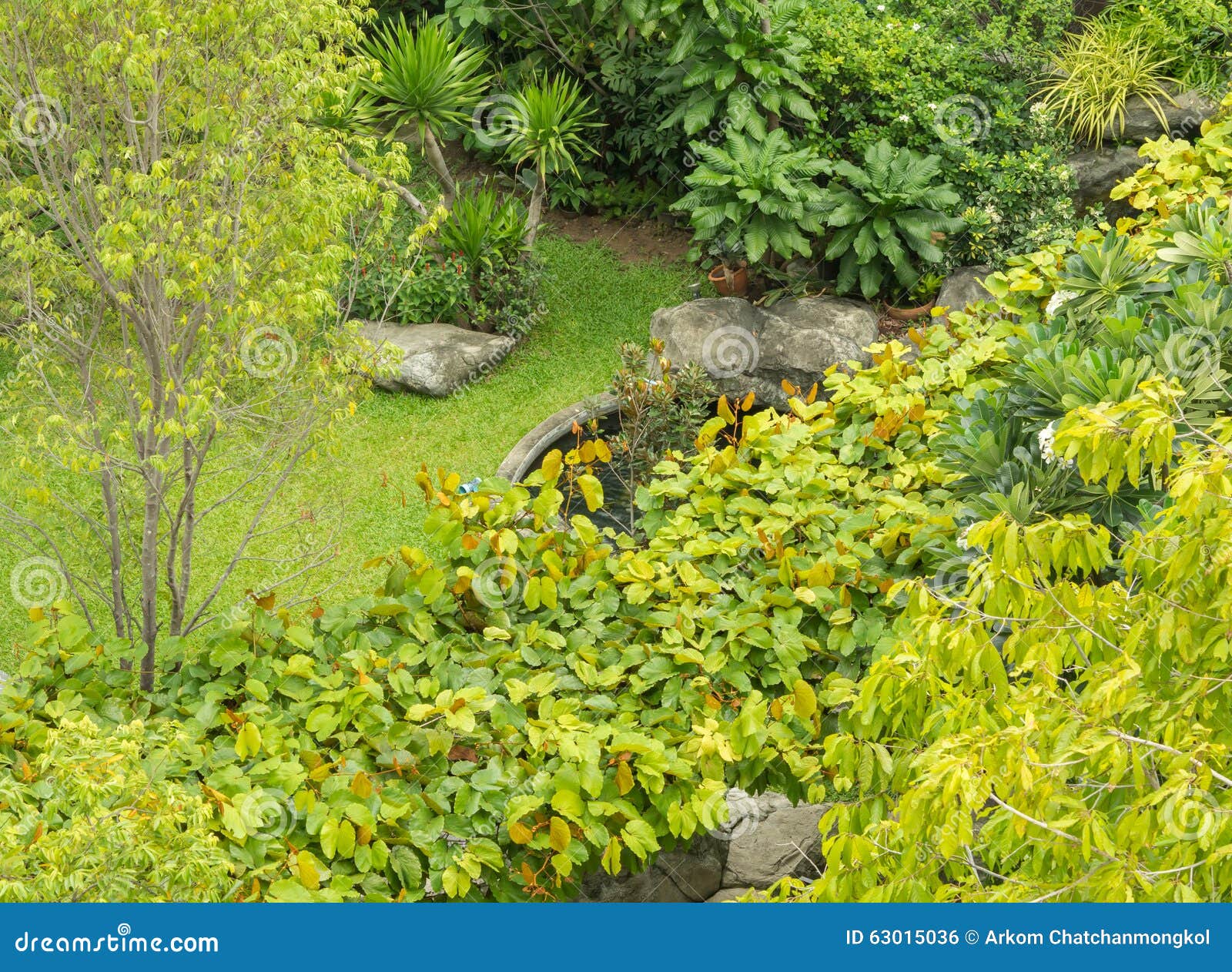 Green garden in home stock photo. Image of residence - 63015036