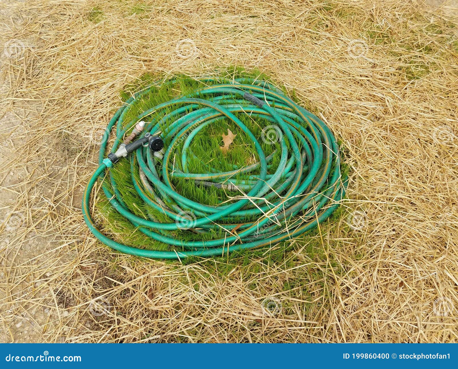 Green Garden Hose on Grass and Straw Stock Photo - Image of brown, hose ...