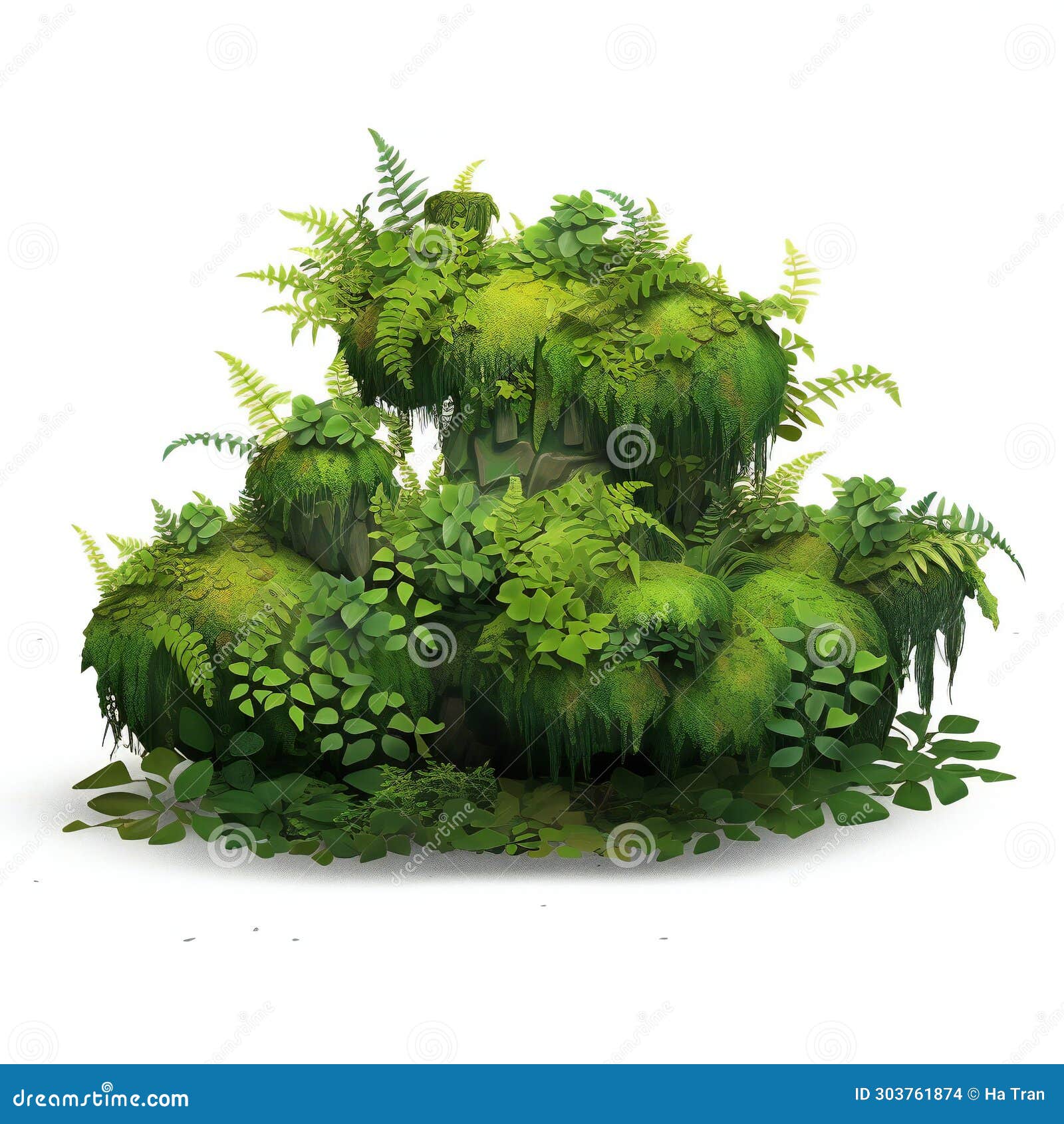 A Green Garden with Moss and Ferns Stock Illustration - Illustration of ...