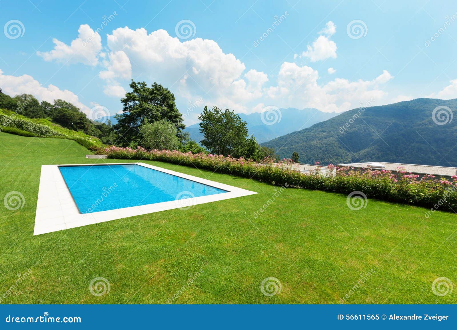 Green garden with pool stock image. Image of modern, pool - 56611565