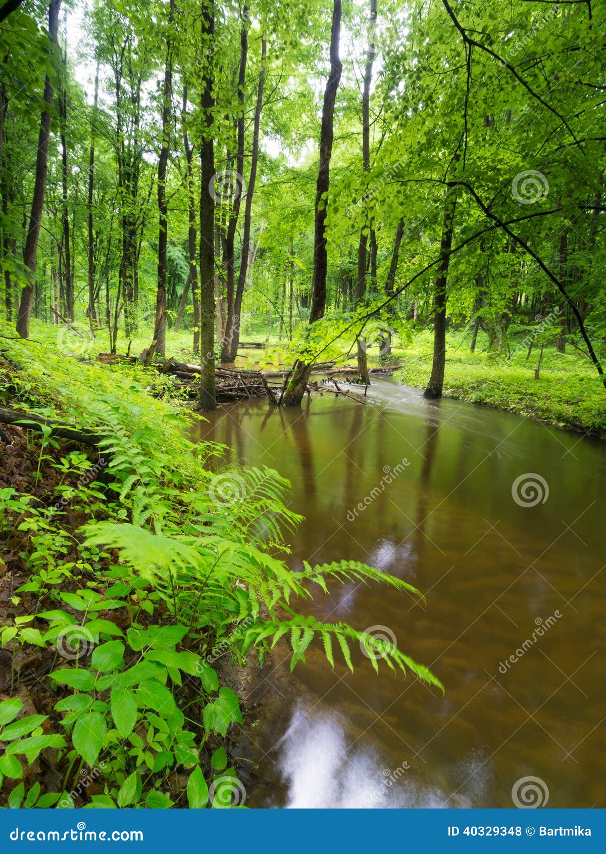 Green Garden - River - Spring Stock Photo - Image of green, spring ...