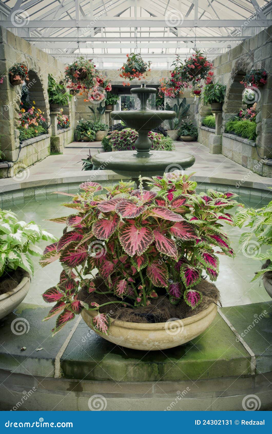 Green Garden Room with Beautiful Plants Stock Image - Image of growth ...