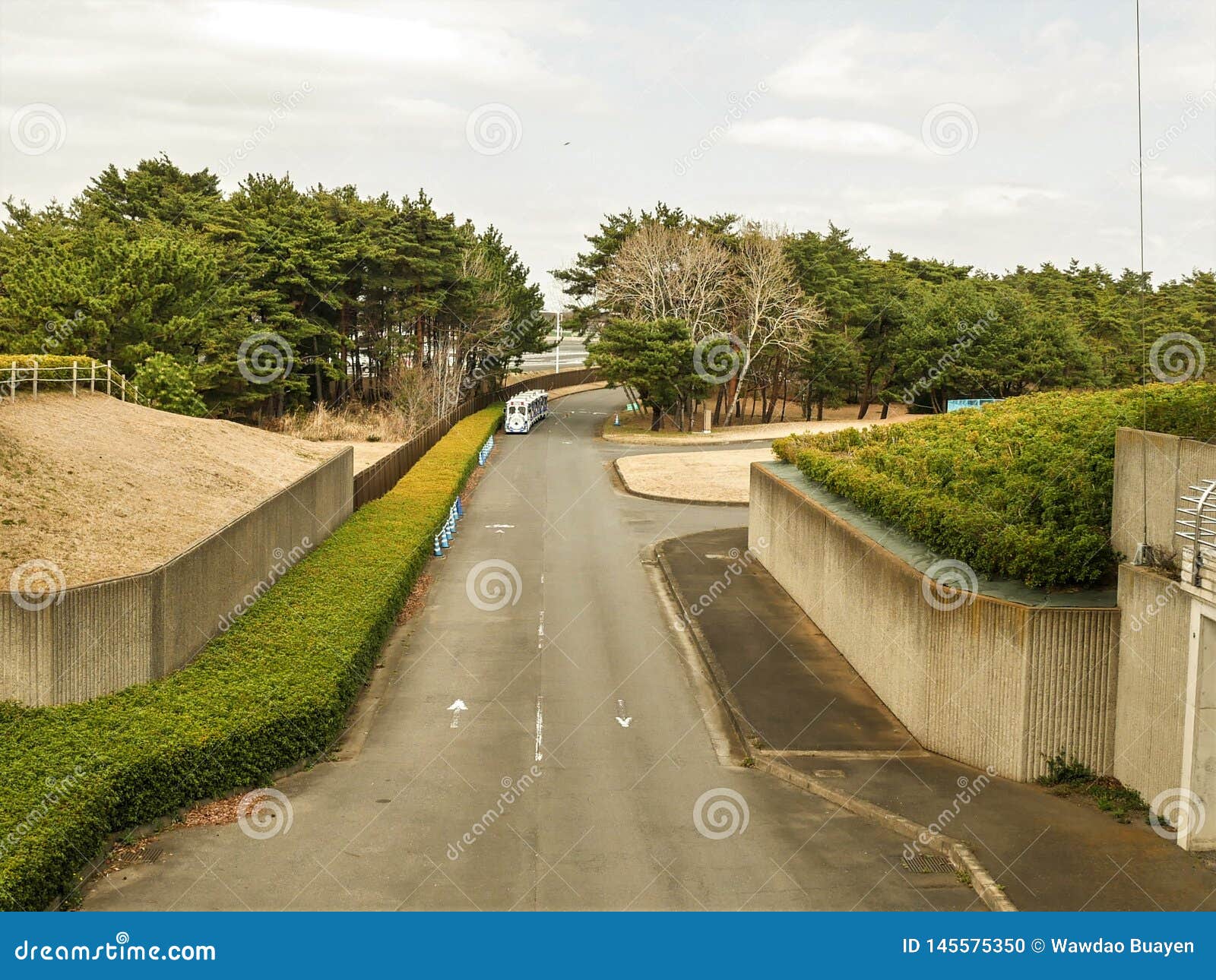 The Green at Garden of Side Road in the Park Stock Photo - Image of ...