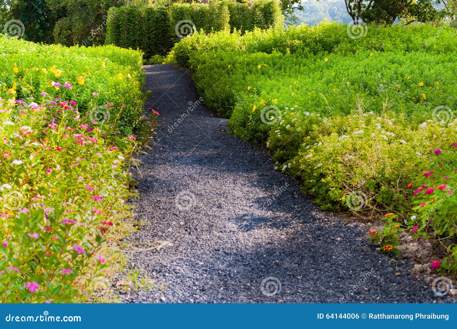 Green Garden Top View with Small Pathway Stock Photo - Image of city ...