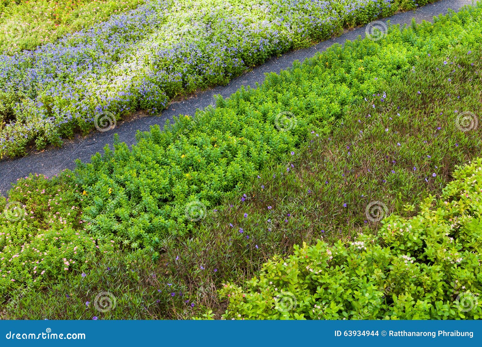 Green Garden Top View with Small Pathway Stock Photo - Image of bench ...
