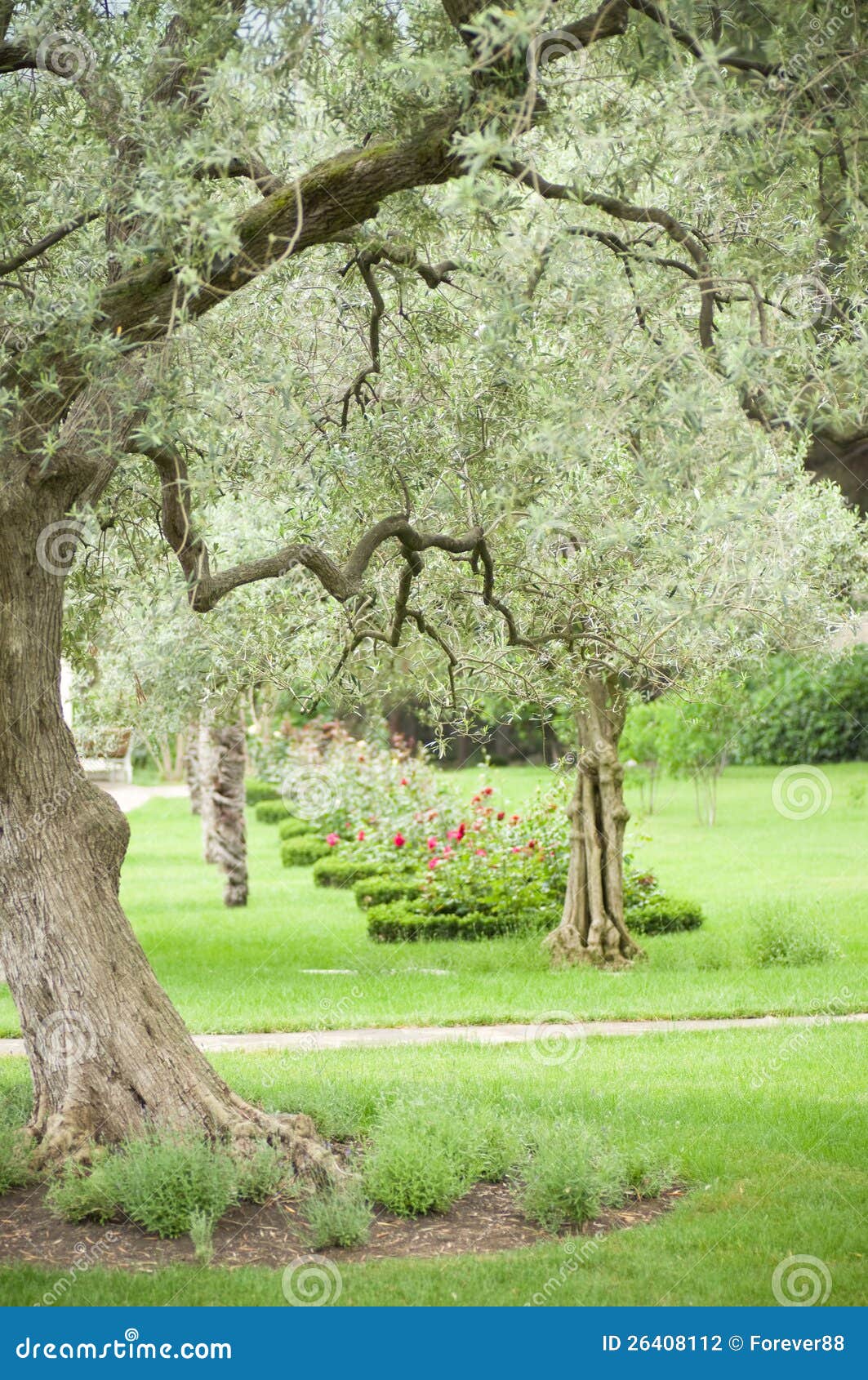 Green garden with trees stock photo. Image of attraction - 26408112