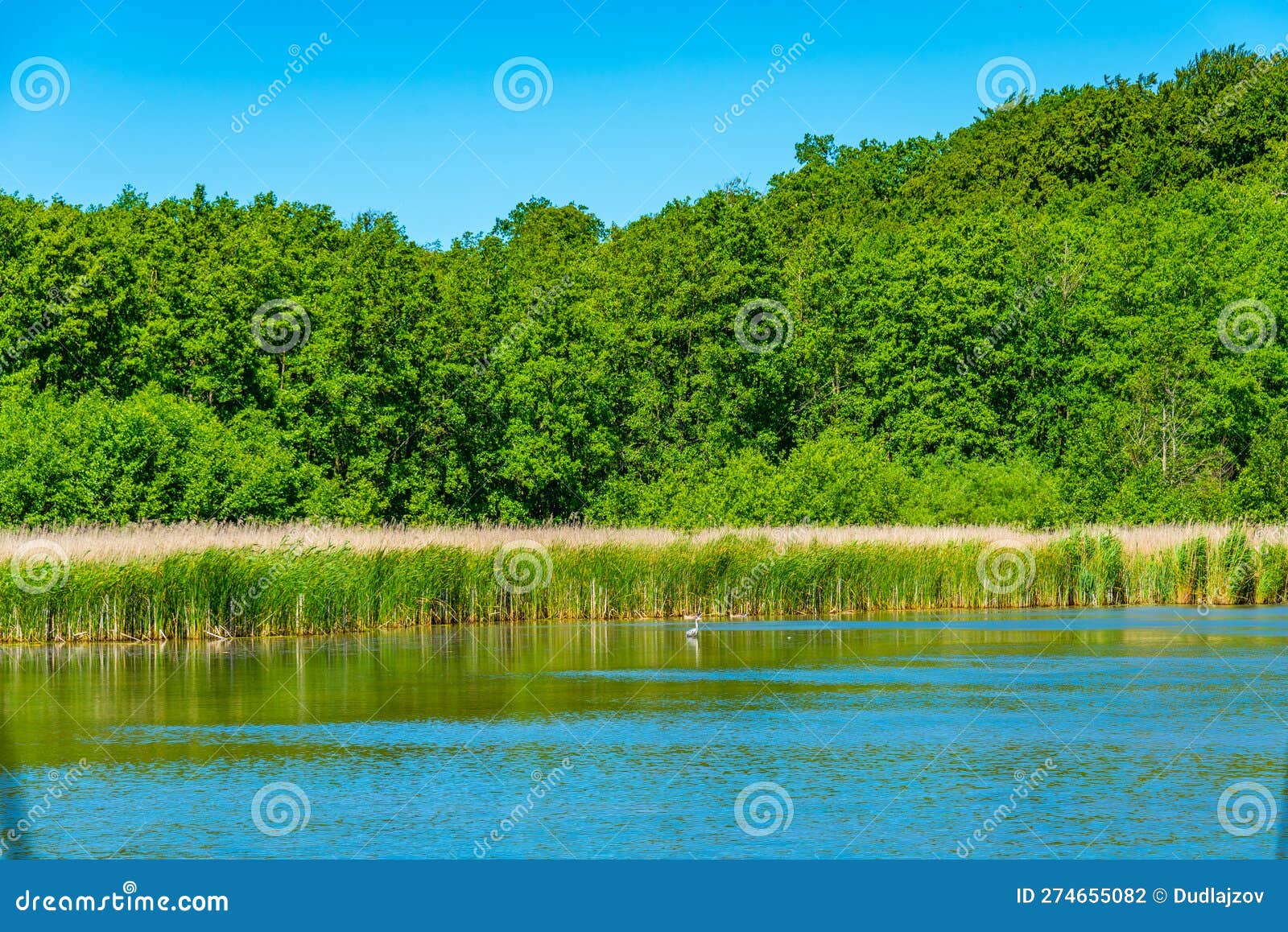 Green Gardens at Gr??sten Palace in Denmark Stock Photo - Image of garden, history: 274655082