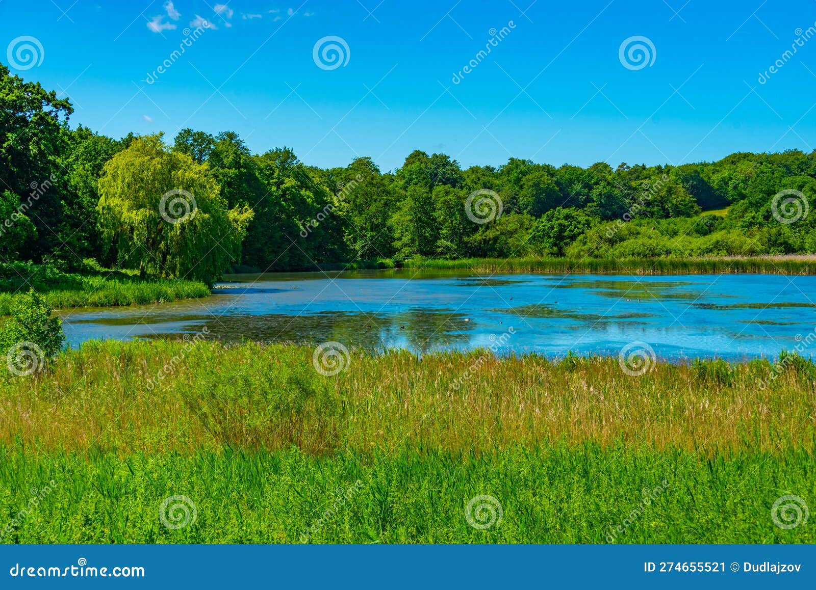 Green Gardens at Gr??sten Palace in Denmark Stock Image - Image of ...