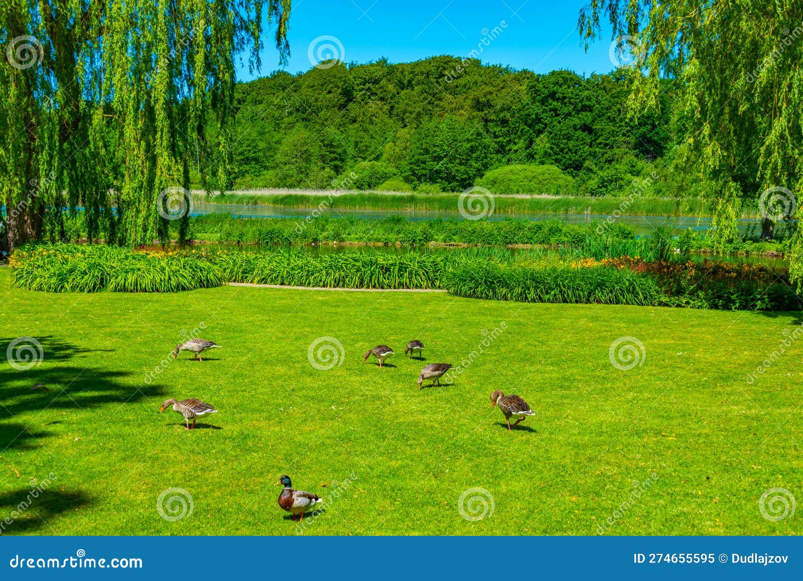 Green Gardens at Gr??sten Palace in Denmark Stock Image - Image of ...