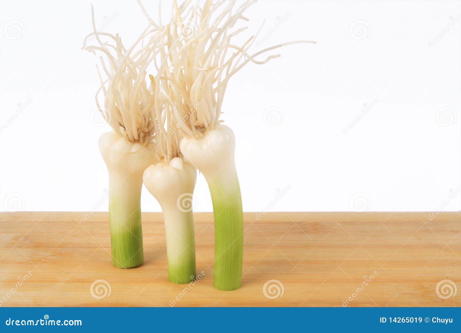 Green garlic stock image. Image of quality, stem, healthy - 14265019