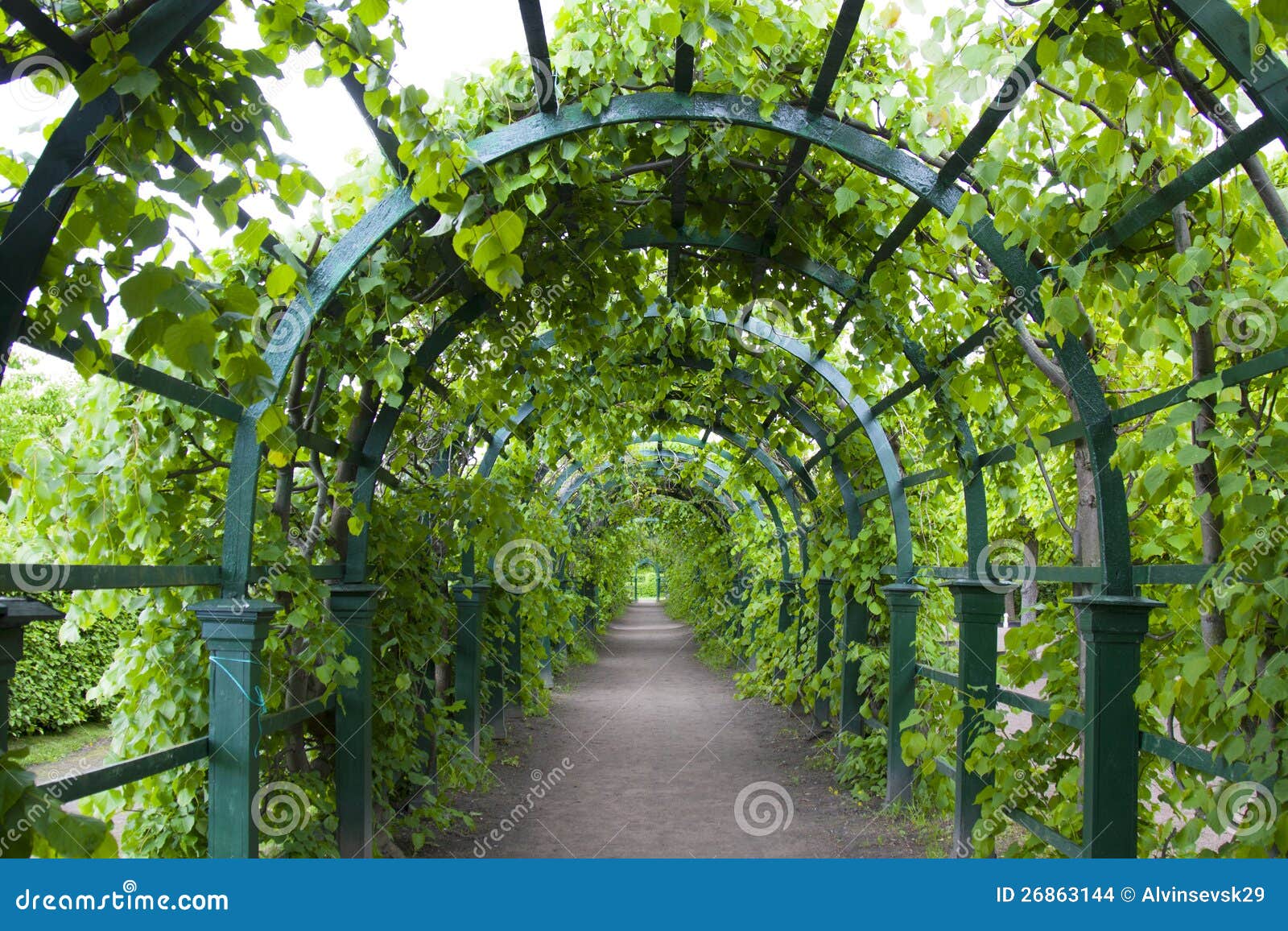 Green gate stock photo. Image of tranquility, backyard - 26863144