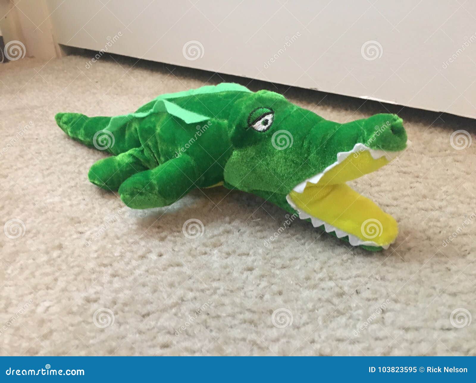 Gator stuffed animal stock image. Image of animal, gator - 103823595