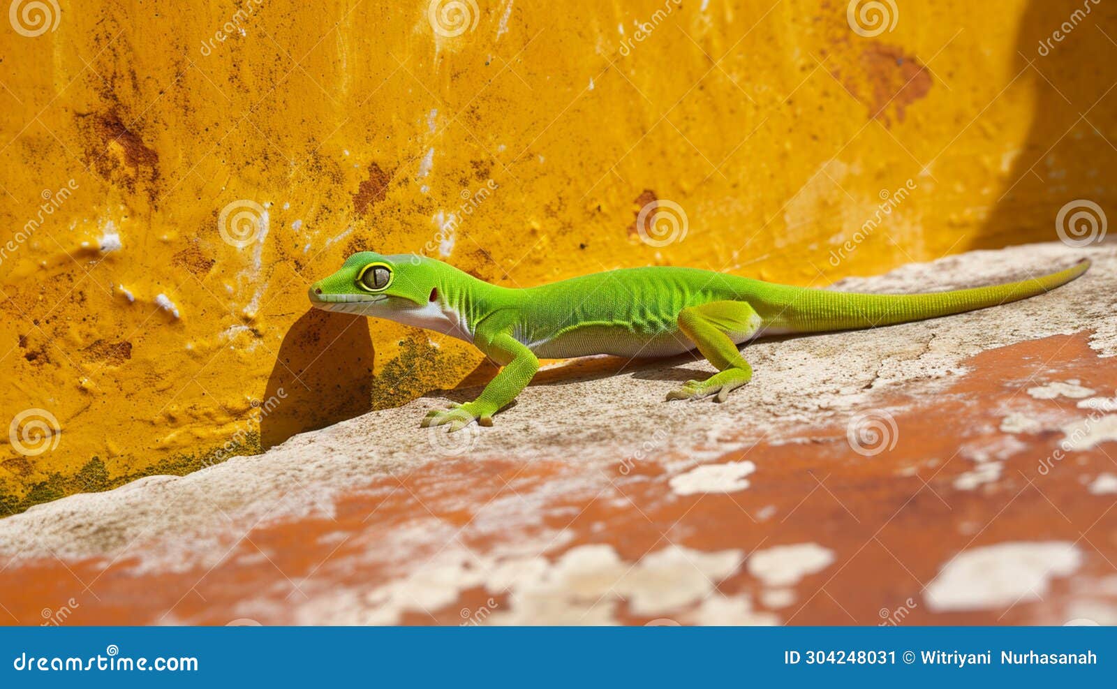 Green Gecko in Front of Wall. Giant Day Gecko View from Up High. AI ...