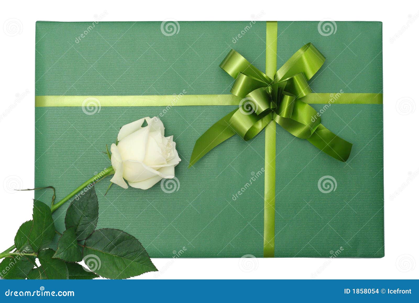 Green gift with white rose stock photo. Image of package - 1858054