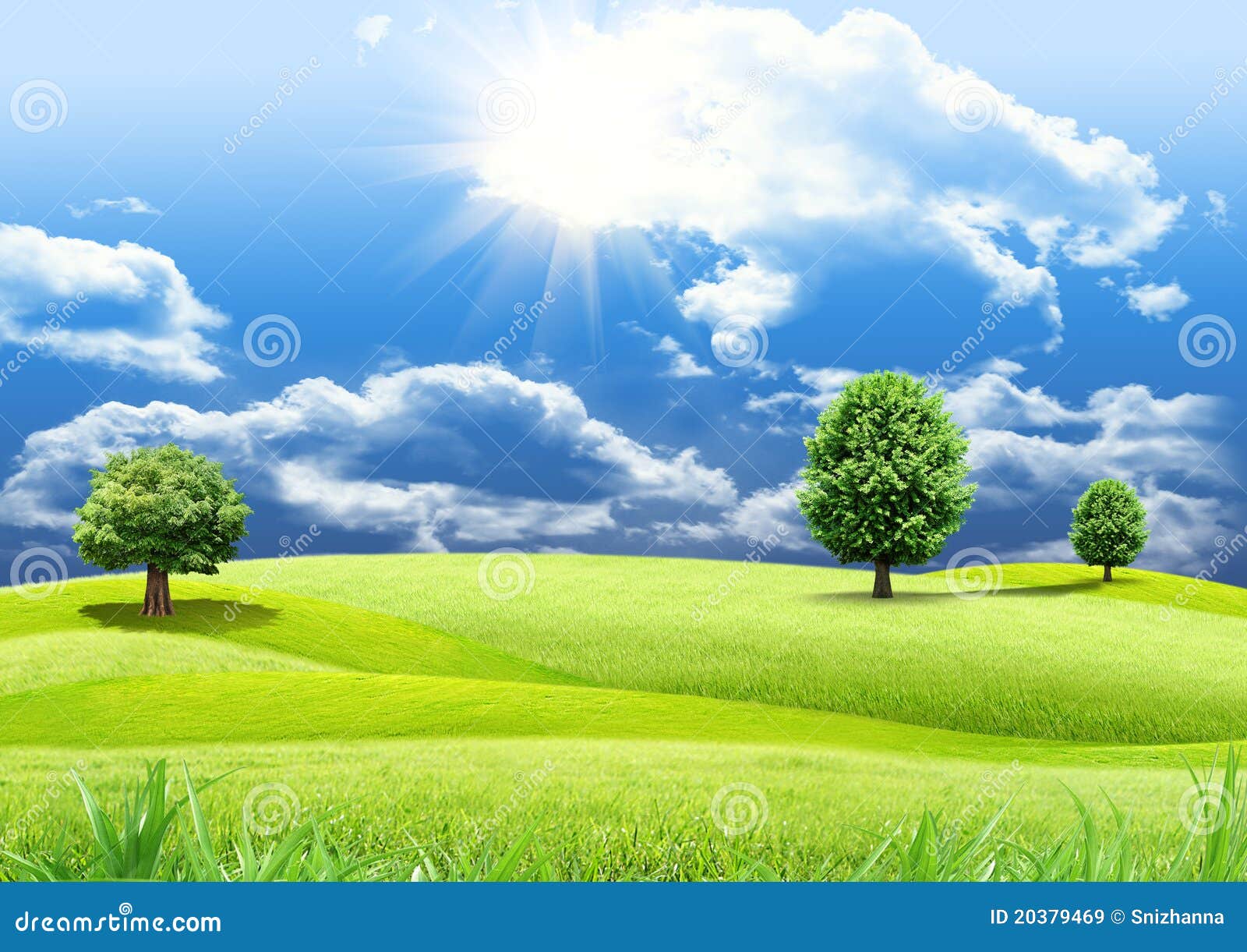 Green glade stock image. Image of fresh, land, blue, light - 20379469