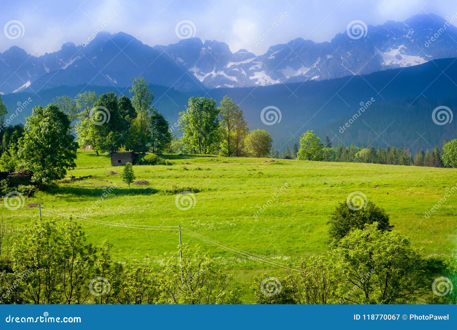 A Green Glade Covered with Trees and in the Background a Mountain Range ...