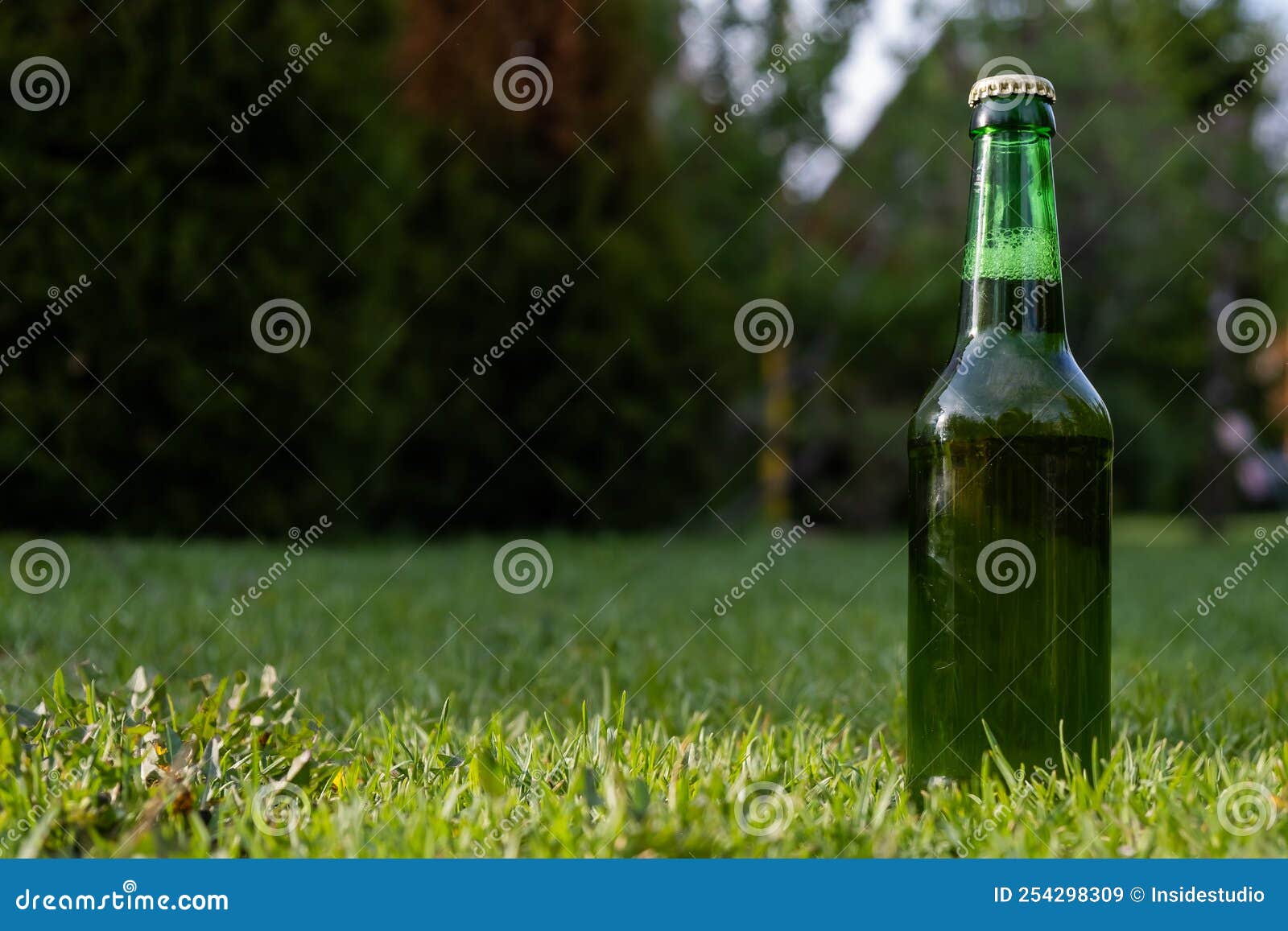 Green Glass Bottle of Beer on the Grass Stock Image - Image of beverage ...