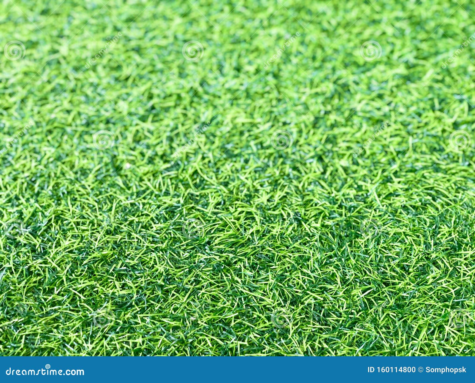 Green glass field stock photo. Image of field, beautiful - 160114800