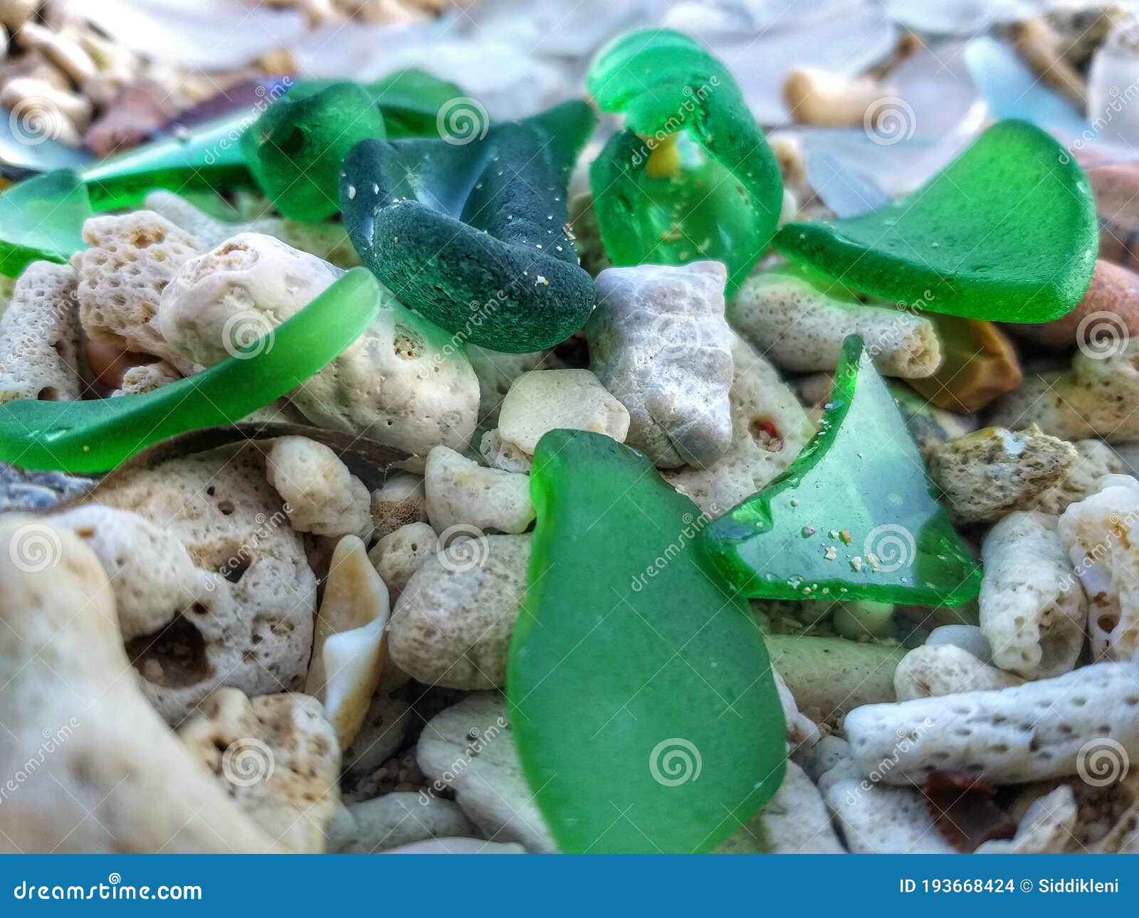 Green Glass Shards on the Beach Stock Photo - Image of beach, seafood ...