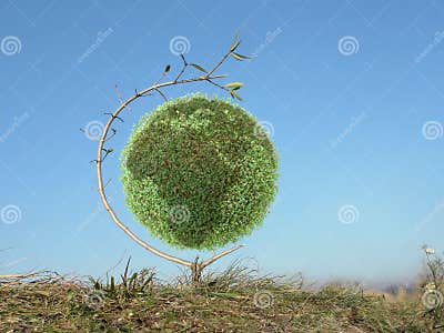 Green globe tree stock image. Image of blue, geography - 1638661