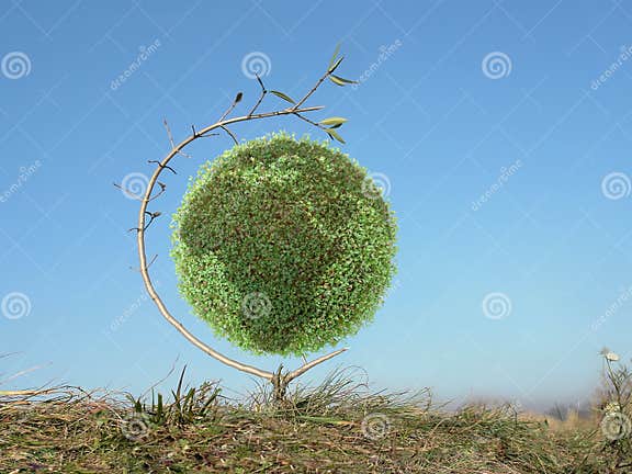 Green globe tree stock image. Image of blue, geography - 1638661