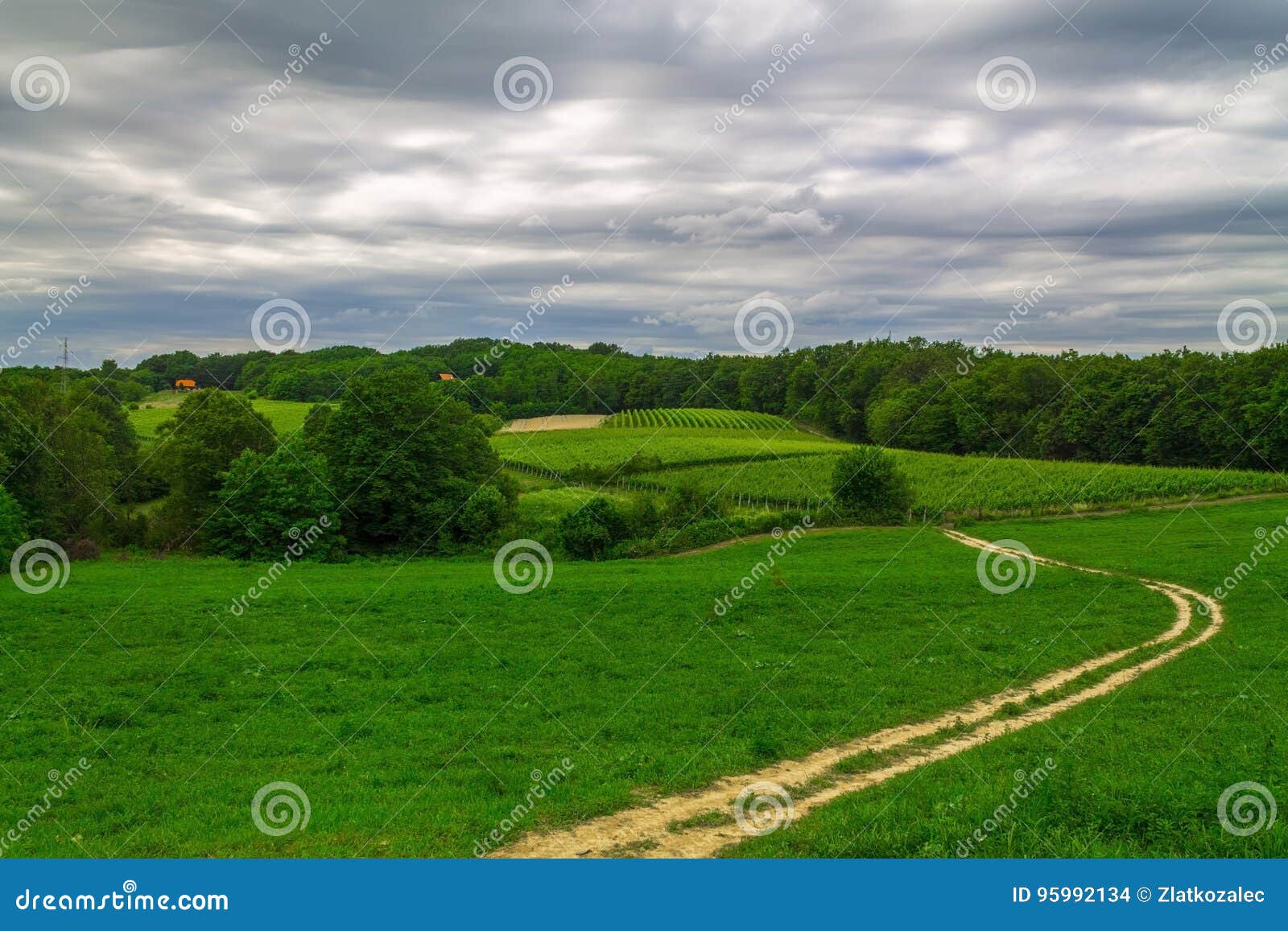 Green gloomy countryside stock photo. Image of land, outdoors - 95992134