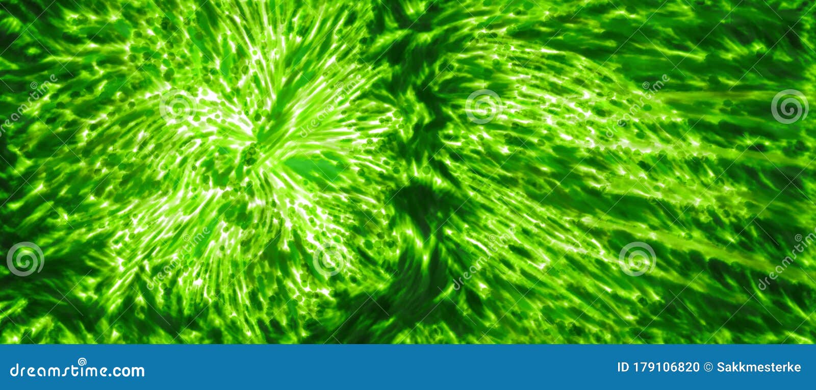 Nuclear Fusion In The Sun And Star Structure With Zones Outline Diagram ...