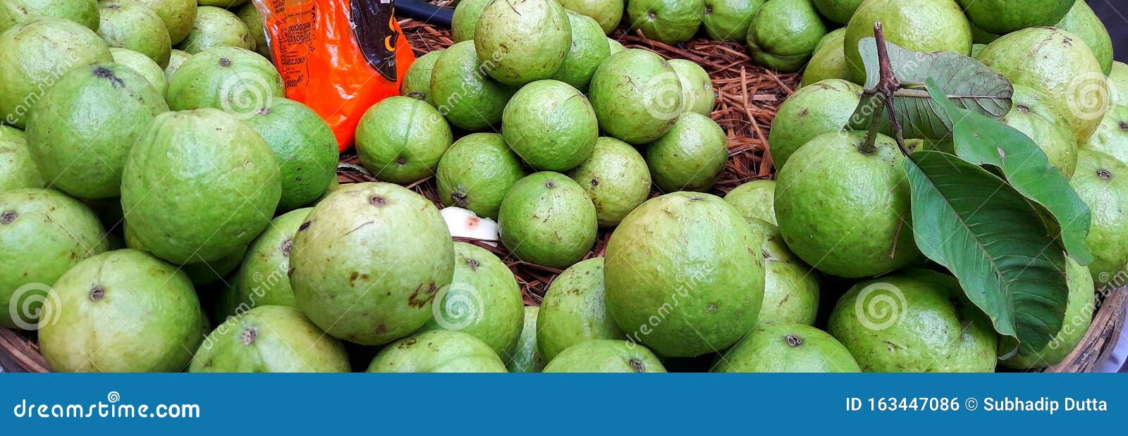 Goava Leaf Stock Photos - Free & Royalty-Free Stock Photos from Dreamstime